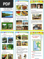 Triptico de Amazonas | PDF | Cocina | Comida y bebida