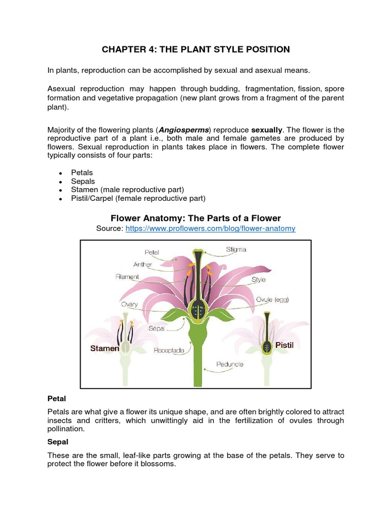 Parts of A Flower | PDF | Flowers | Fertilisation