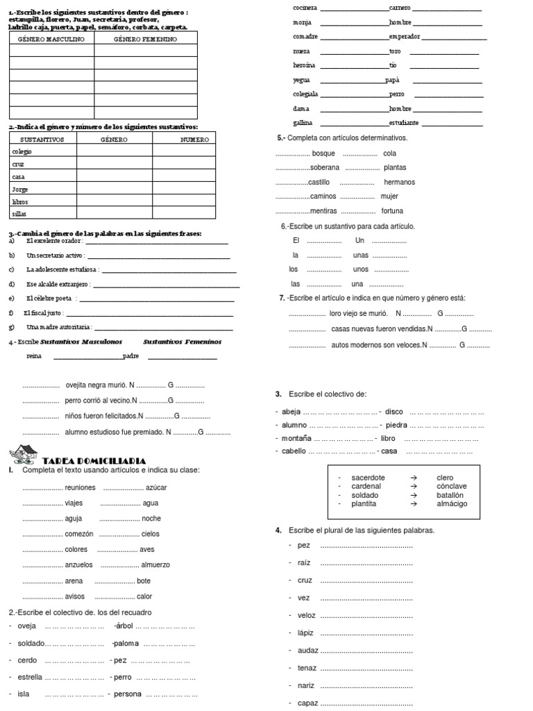Ejercicios de Género y Número en Sustantivos | PDF