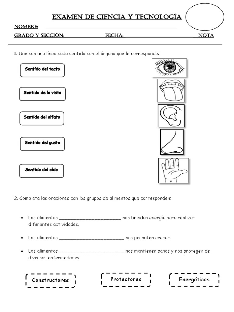 Examen de Ciencia y Tecnología | PDF