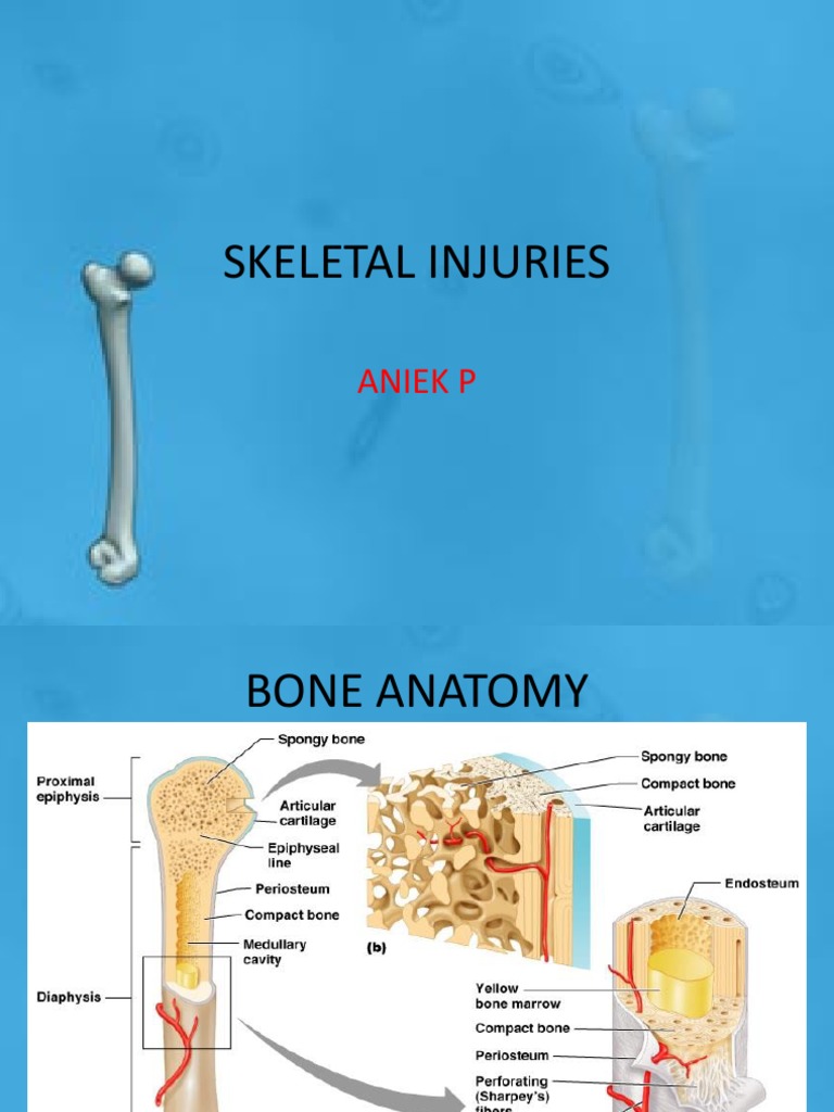 #5 Skeletal Injuries | PDF | Bone | Skeletal System
