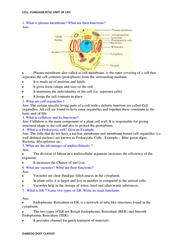Cell:Fundamental Unit of Life | PDF | Endoplasmic Reticulum | Cell ...