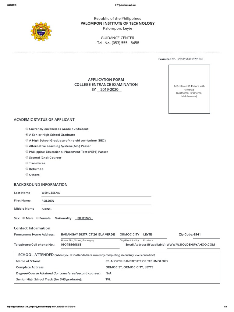 PIT - Application Form PDF | PDF | University And College Admission ...