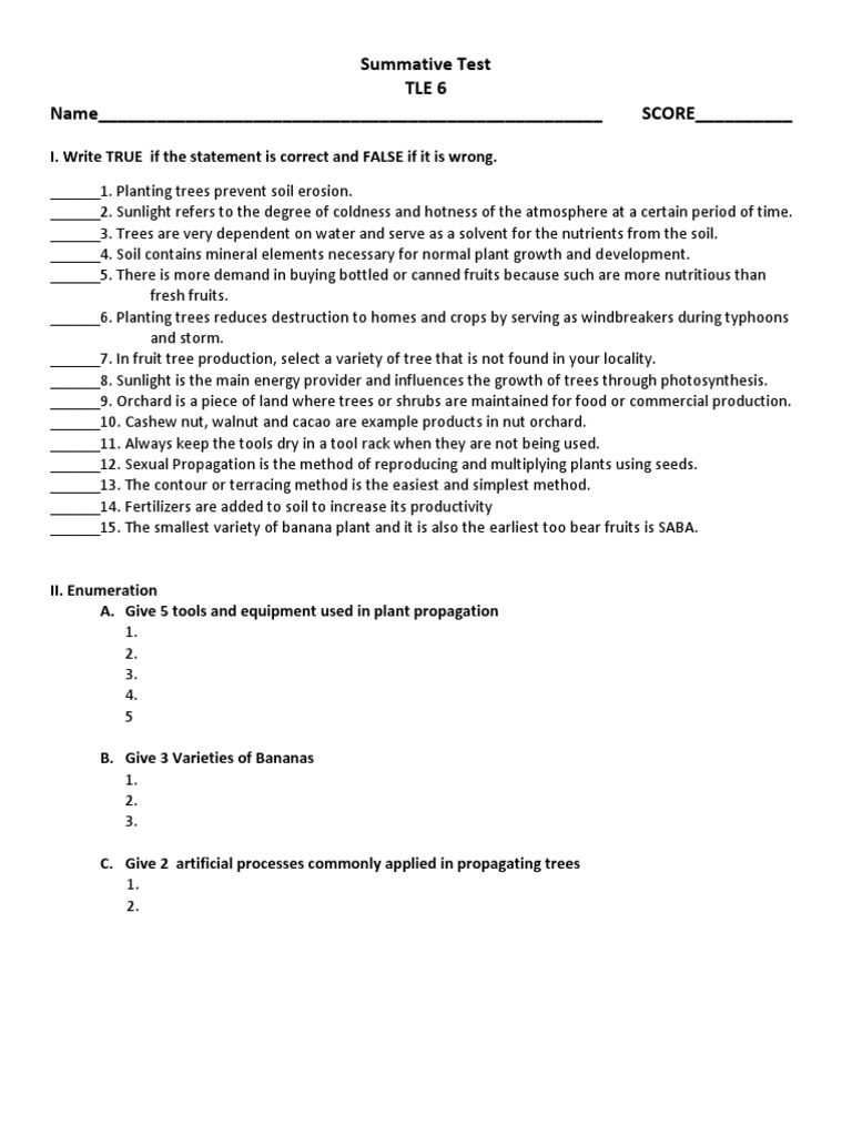 Summative Test Tle 6 | PDF