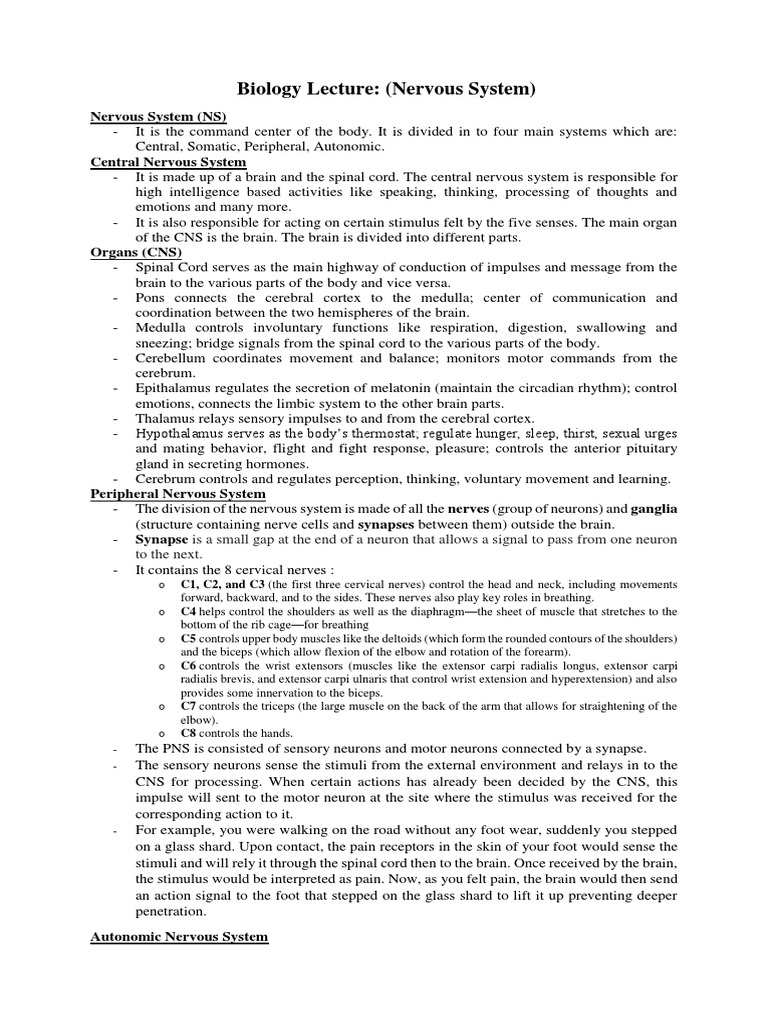 Biology Lecture: (Nervous System) | PDF | Central Nervous System ...