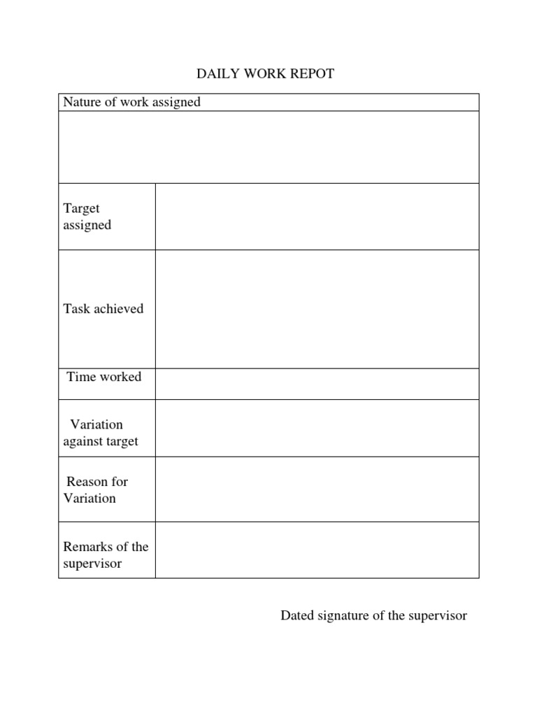 Daily Work Repot | PDF
