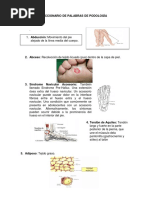Anatomia Del Pie | PDF | Pie | Morfología (biología)