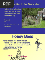 Beekeeping Training Manual | PDF | Honey Bee | Beehive