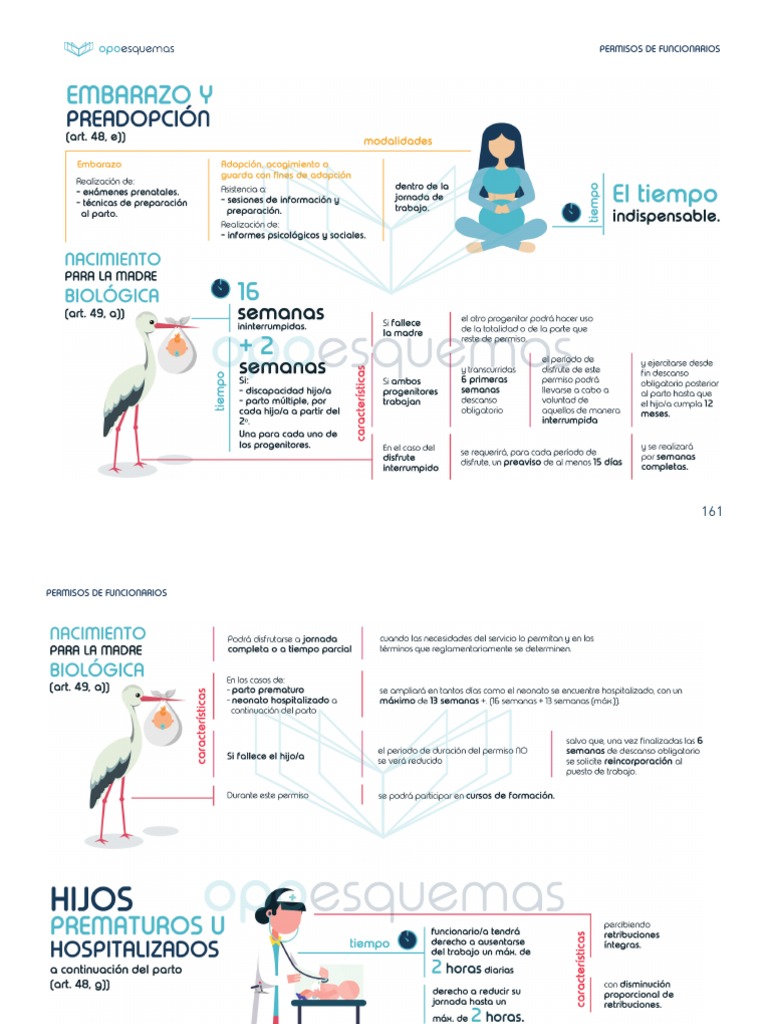 Trebep - Recurso Permisos | PDF