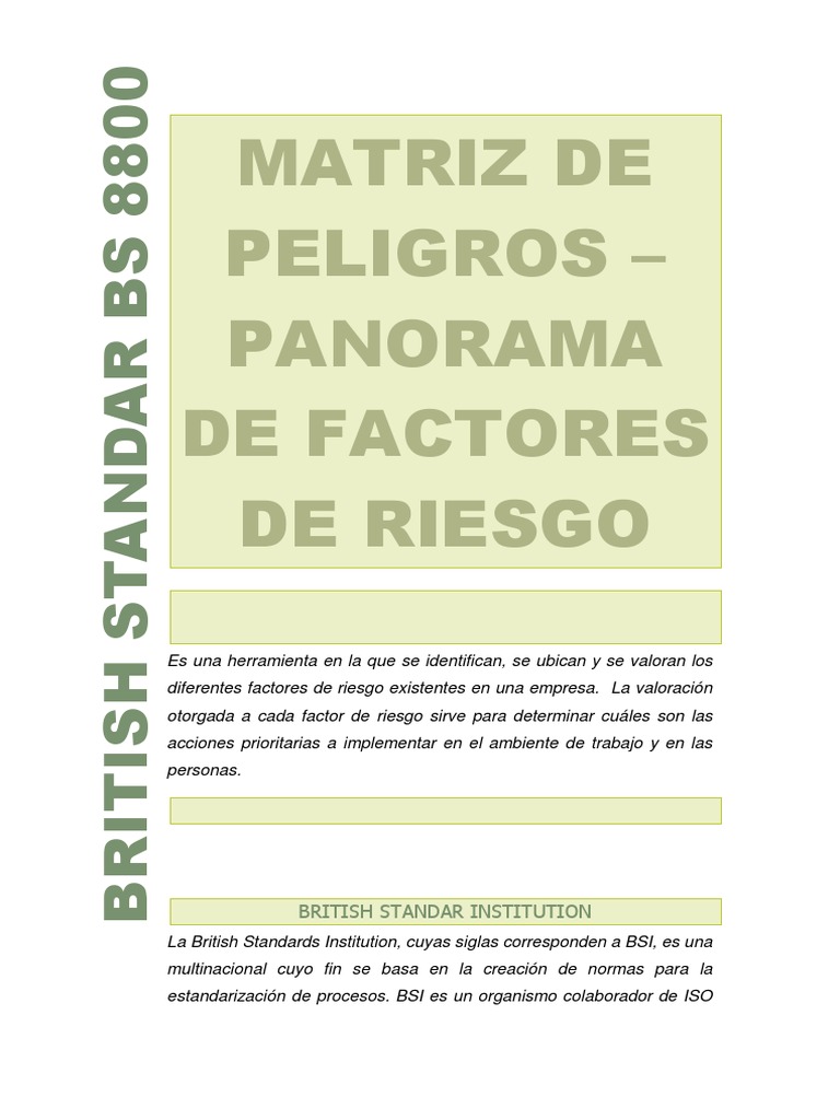 BS8800 | PDF | Naturaleza | Bienestar