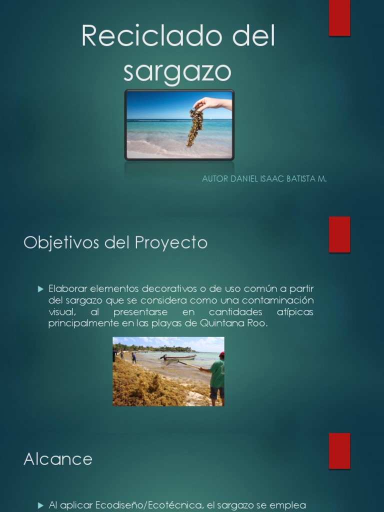 Reciclado Del Sargazo | PDF