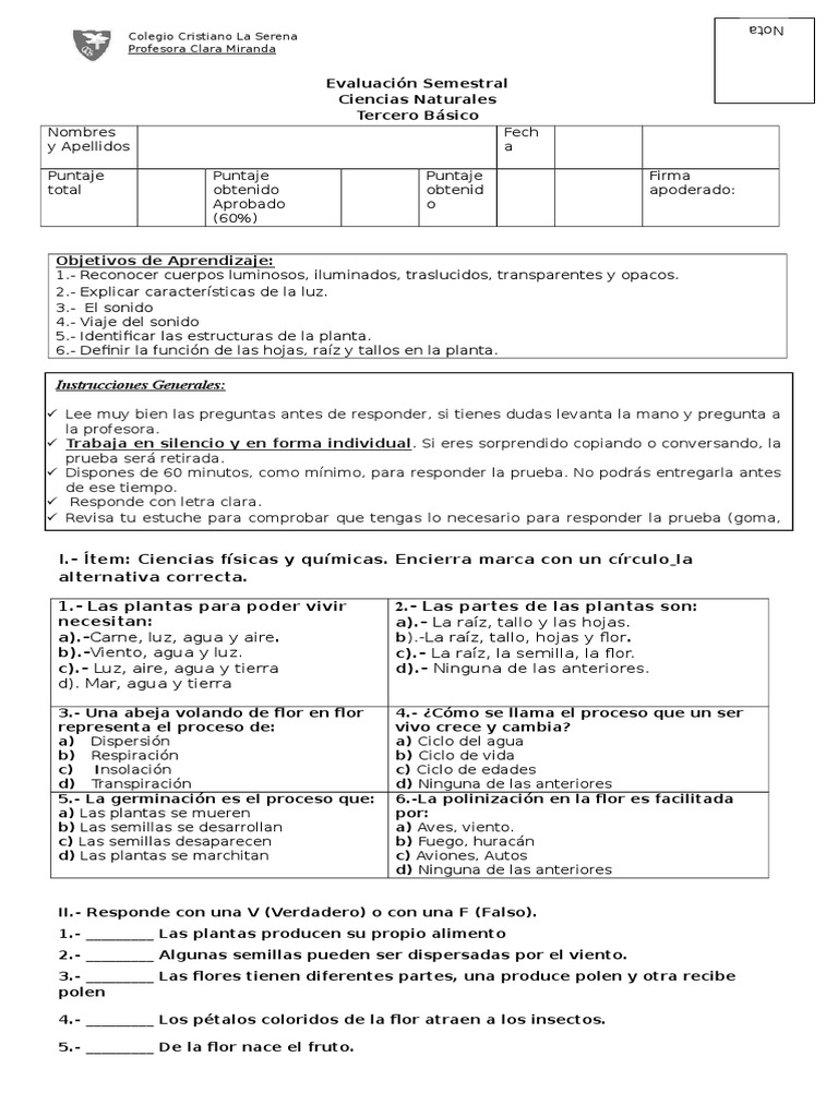 Prueba Las Plantas 3 | PDF | Flores | Fruta