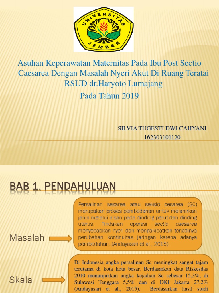 Asuhan Keperawatan Ibu Post SC Dengan Masalah Keperawatan Nyeri Akut | PDF