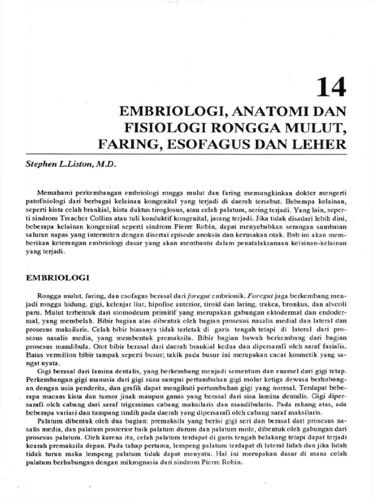 Embriologi, Anatomi Dan Fisiologi Rongga Mulut, Faring, Esofagus Dan ...