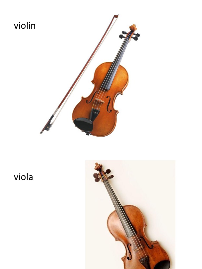 Lesson 2 String Instruments | PDF | Cello | Chordophones