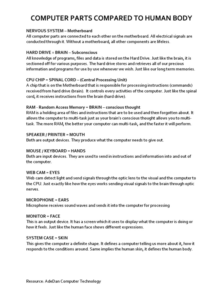 Computer Parts Compared to Human Body