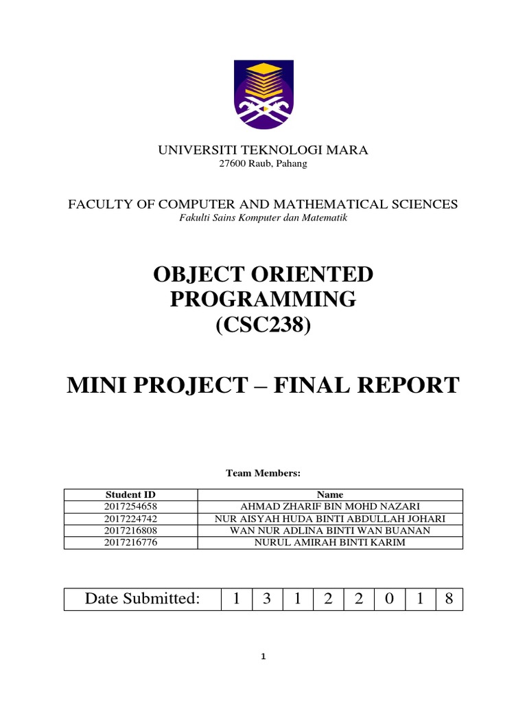 Mini Project - Final Report: Object Oriented Programming (CSC238) | PDF ...