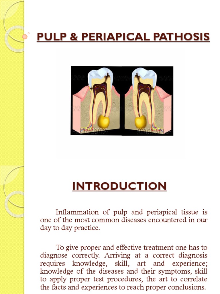 Pulpal and Periapical Pathology | PDF | Periodontology | Dentistry