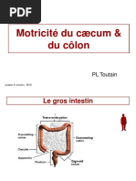 Anatomie Topographique de La Cavité Abdominale Et Péritonéale | PDF ...