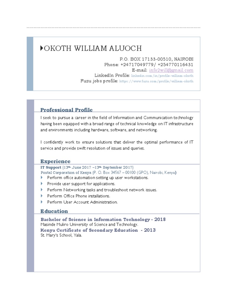 Sample CV For Tech Guys | PDF