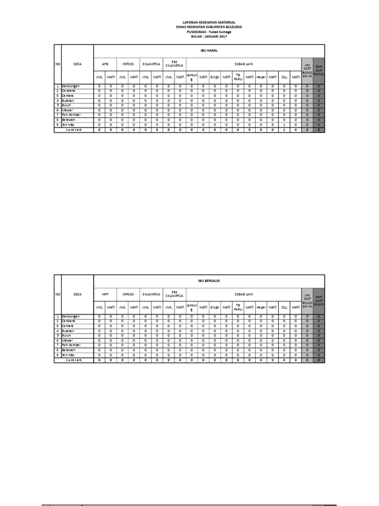 Maternal Health Report Buleleng | PDF