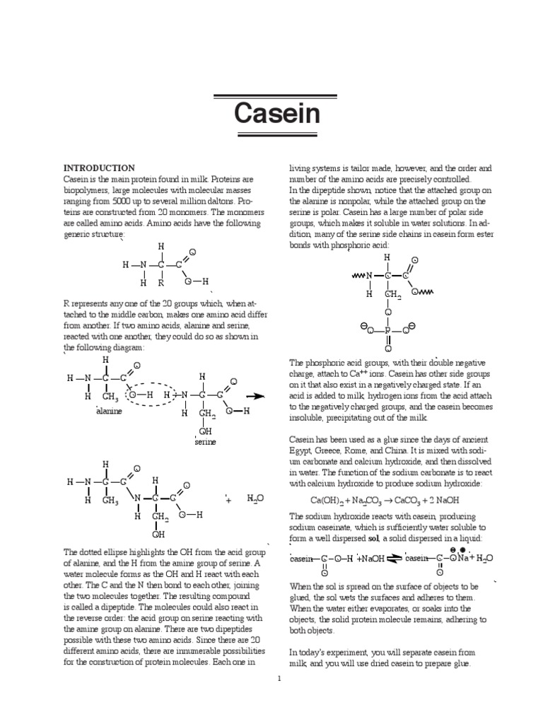 Casein PDF | PDF | Hydrogen | Chemical Polarity