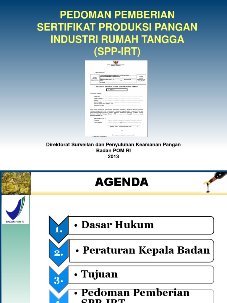 Pedoman Sertifikat SPP-IRT 2013 | PDF