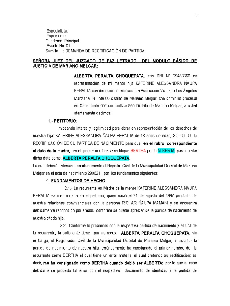 Rectificacion - Partida Nac | PDF | Ley procesal | Conceptos legales