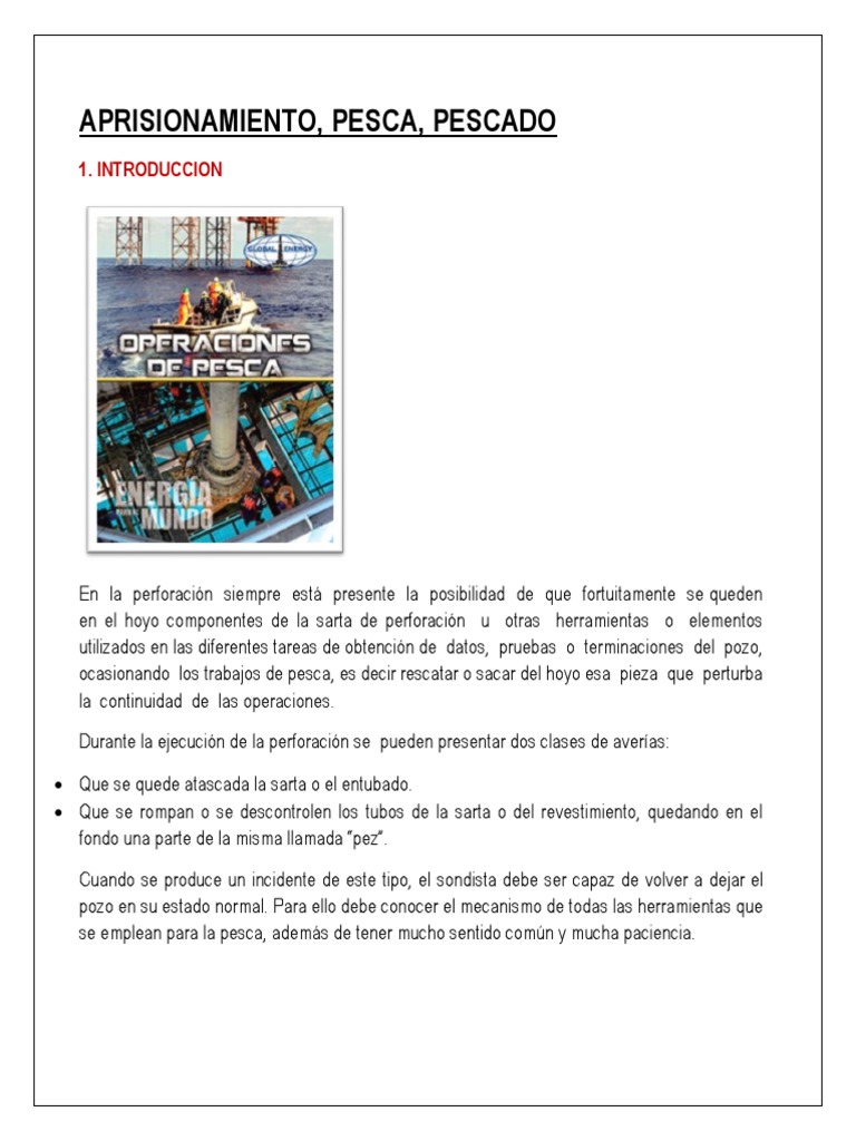 Aprisionamiento, Pesca y Pescados | PDF | Herramientas | Imán