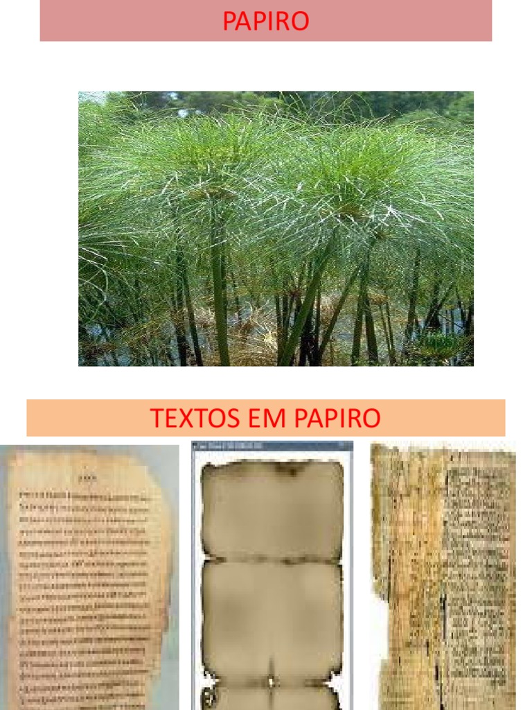 Introdução Bíblica Papiro Slides | PDF | Septuaginta | Bíblia hebraica
