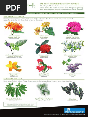 Flower Identification Chart Guide To Identifying Perennial Flowers