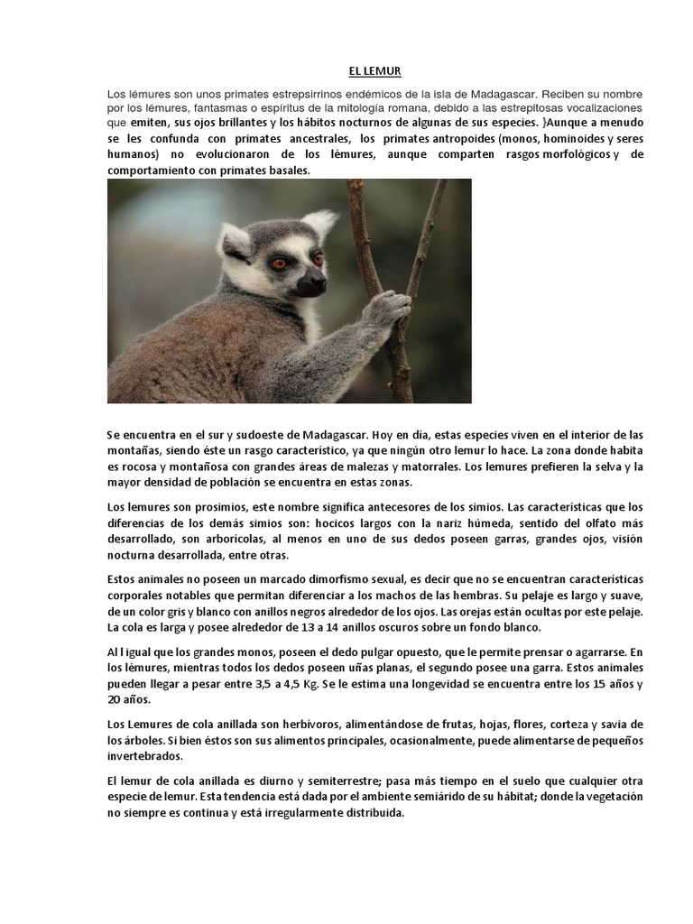Lemur | PDF | Naturaleza