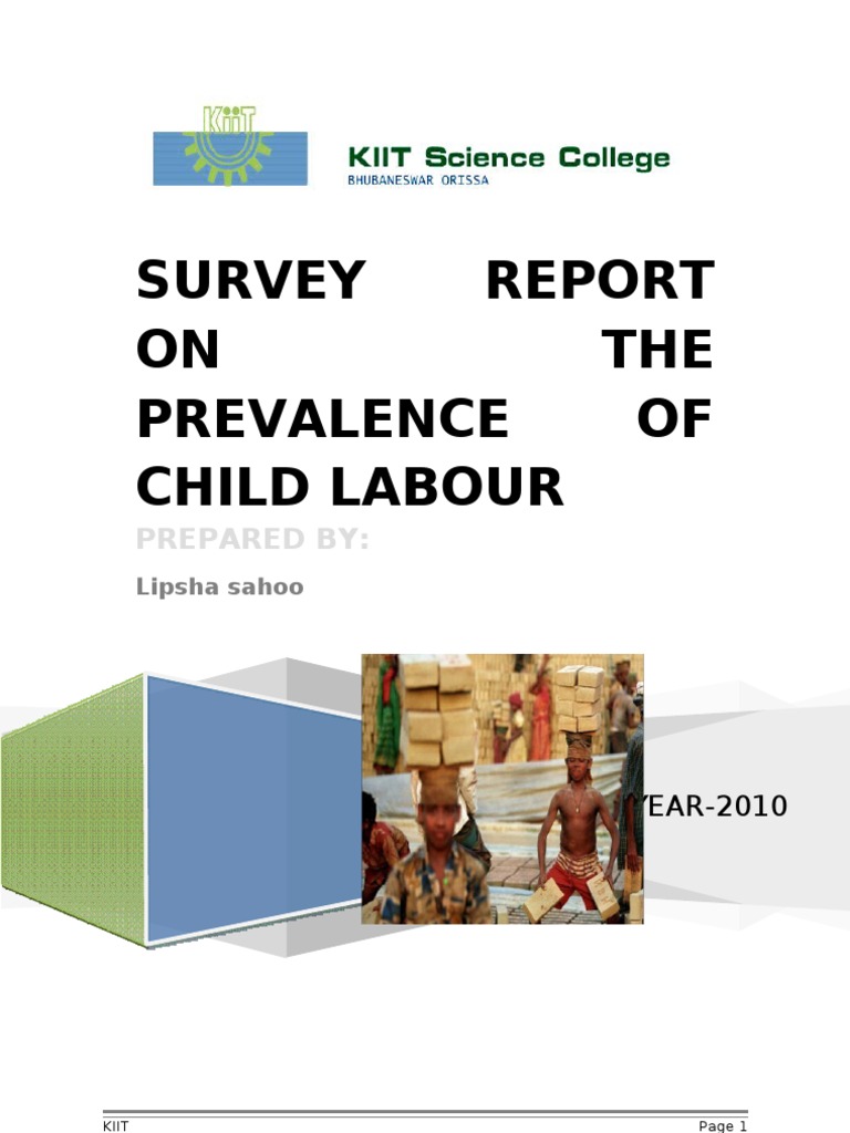 Child Labour Final | PDF | Child Labour | Domestic Worker