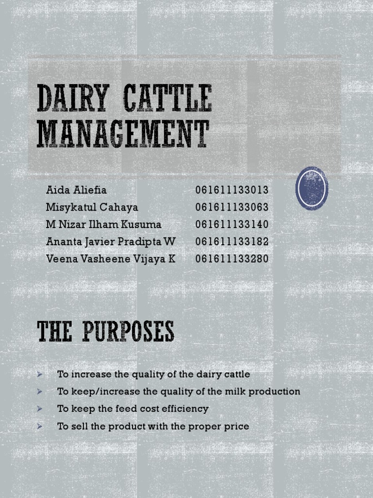 Dairy Cattle Management Practices Pdf Dairy Cattle Calf