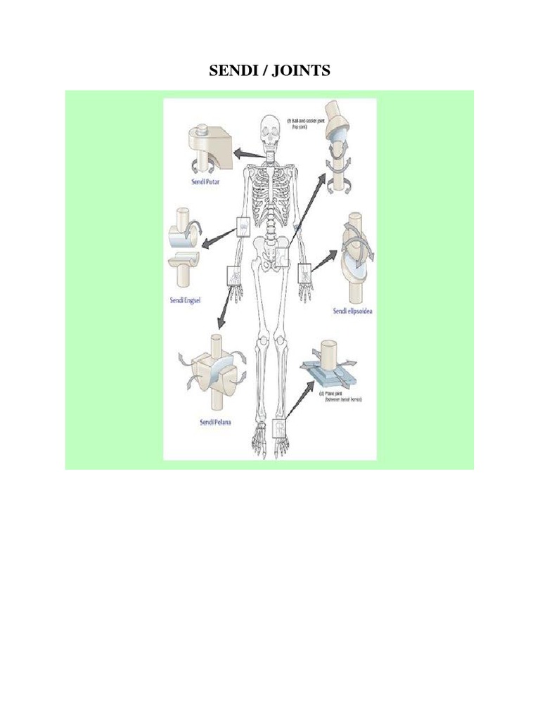 Sendi / Joints | PDF