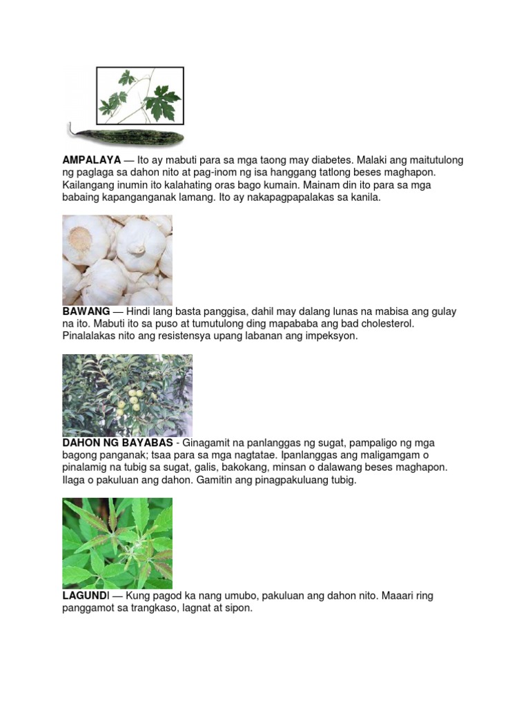 Halamang Gamot | PDF