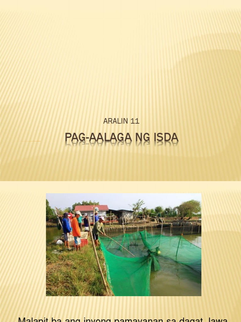 Aralin 11 Pag-Aalaga NG Isda | PDF