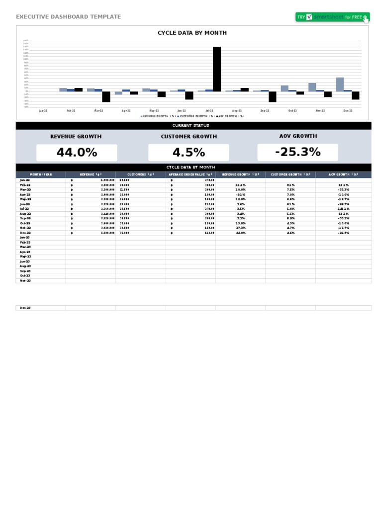 Executive Dashboard Template Overview | PDF | Information Technology ...