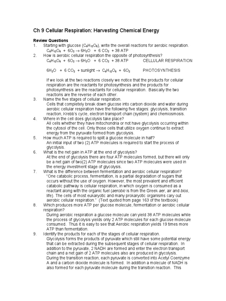 CH 9 Cellular Respiration: Harvesting Chemical Energy: Review Questions ...