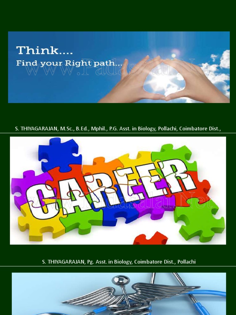 After Plus Two Career Guidence | Download Free PDF | Bachelor's Degree ...