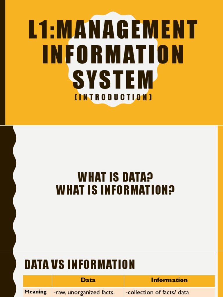 L1 Management Information System | PDF | Management Information System ...