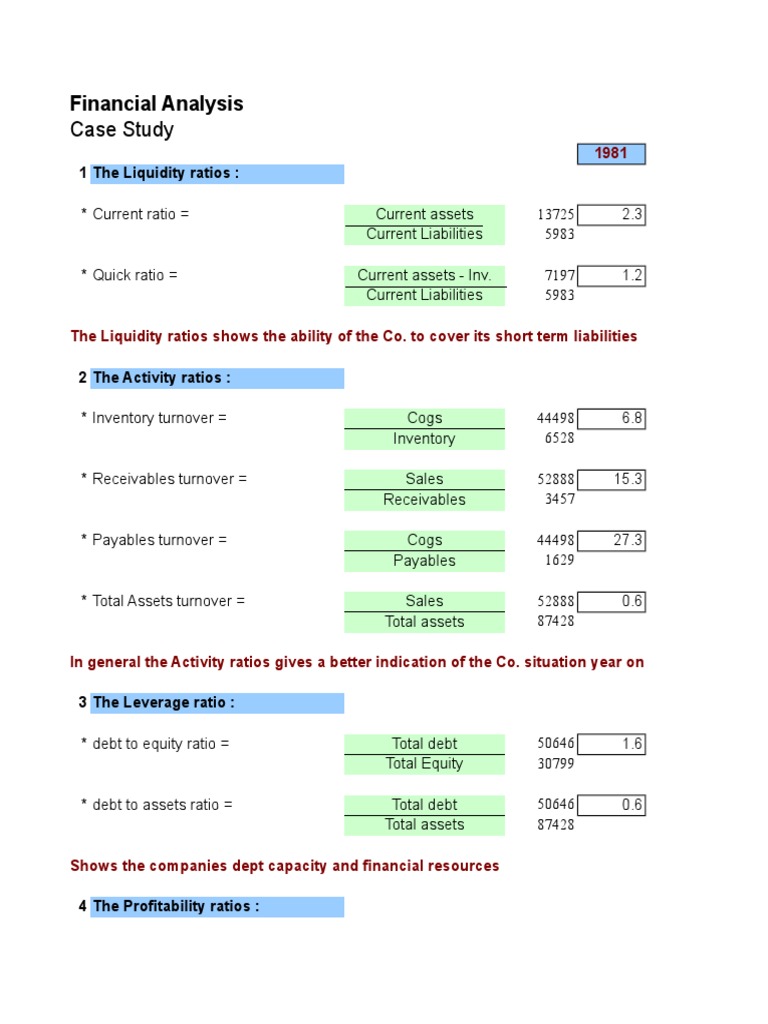 Case Study: Financial Analysis | PDF | Equity (Finance) | Revenue
