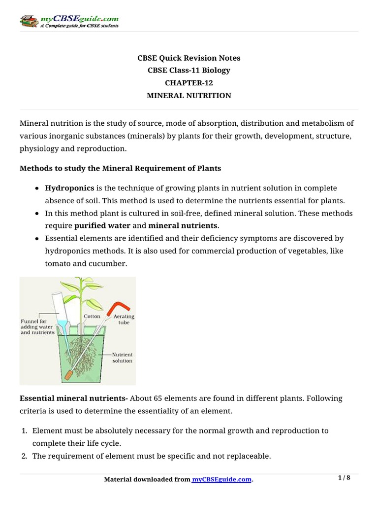 Mineral Nutrition in Plants: Class 11 Notes | PDF | Nutrients | Nitrogen