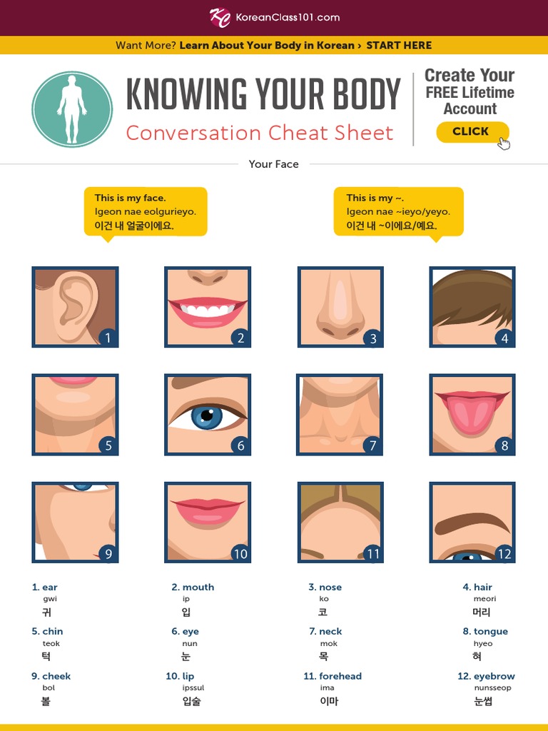 Learn Korean - Your Body Parts | PDF | Human Head And Neck | Primate ...