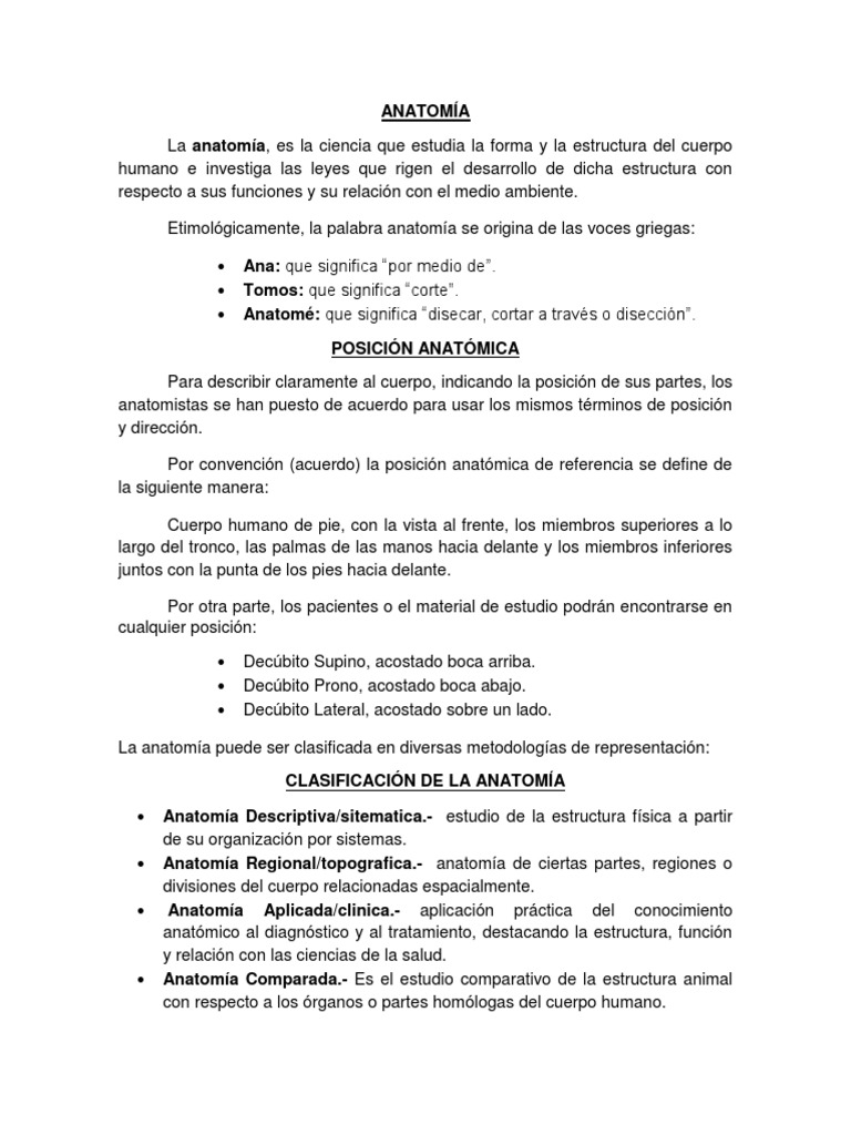 1 Primera Clase De Anatomía Pdf Términos Anatómicos De Ubicación