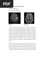 Code Stroke Algorithm | PDF | Stroke | Epidemiology