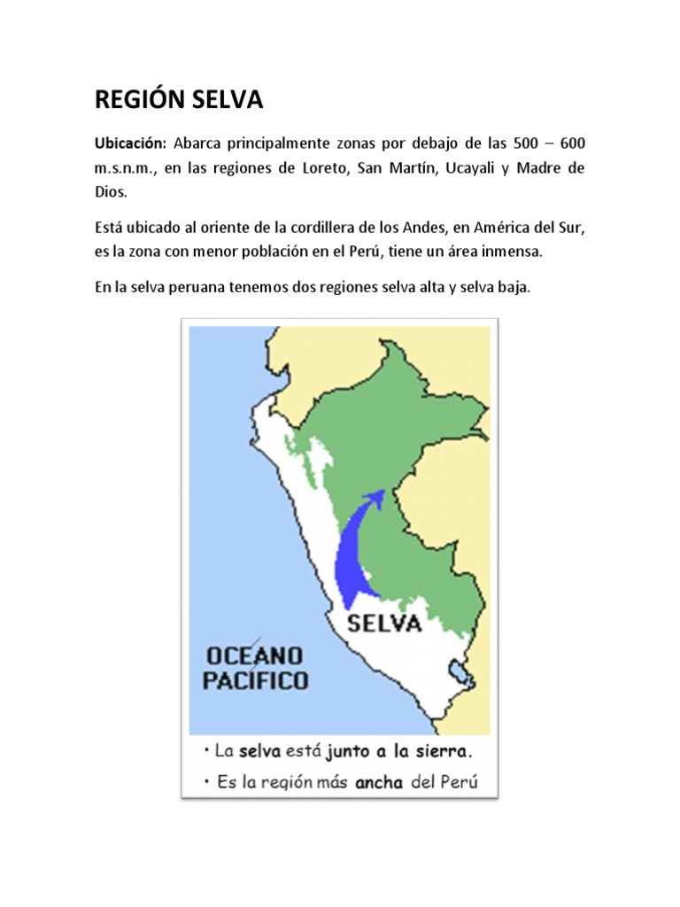 Paper de La Region Selva | PDF | Selva amazónica | Selva