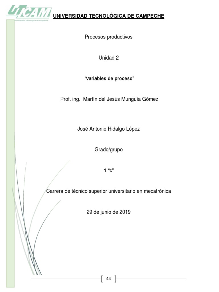 Variables De Proceso Pdf Peso Fuerza 8563