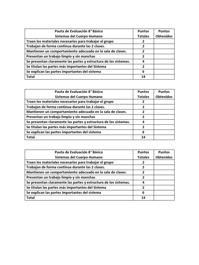 Pauta de Evaluación Sistemas Del Cuerpo Humano | PDF