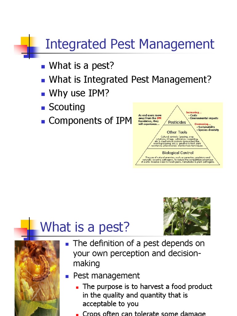 Integrated Pest Management 0 | PDF | Biological Pest Control | Pesticide